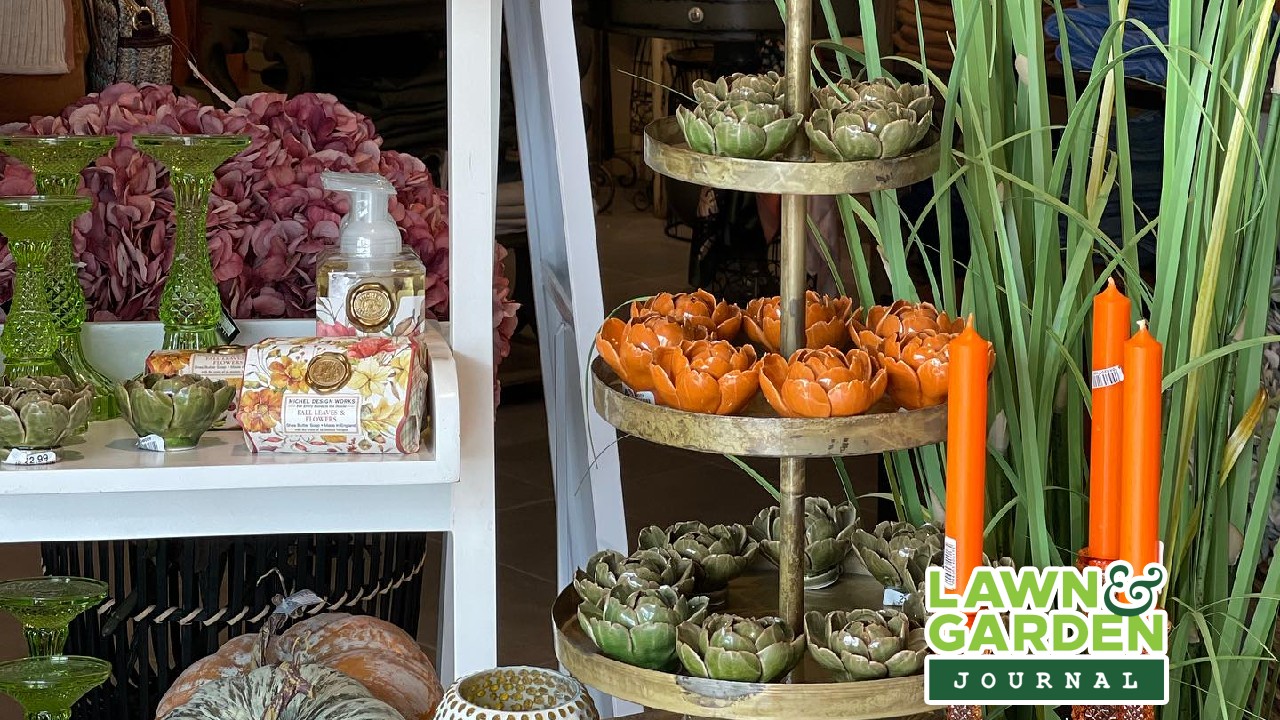 Tree care, garlic, ornamental onions and bulb (tulips & daffodils) for next Spring all covered ...